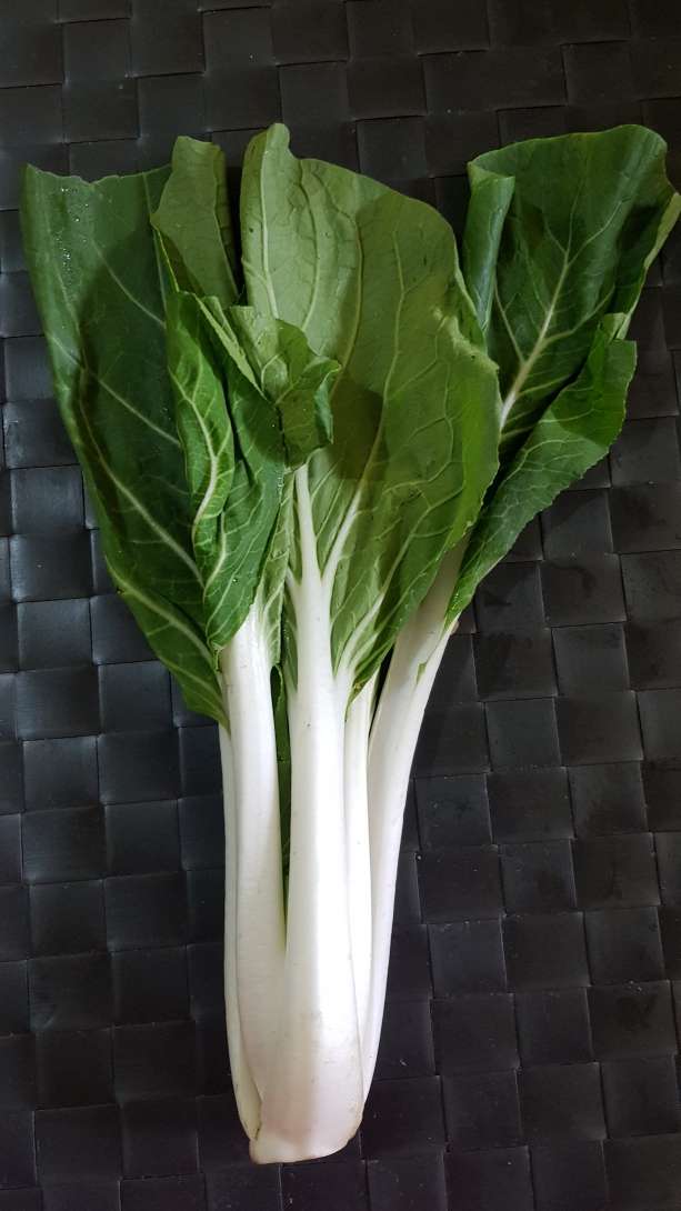 Community Development | 5 vegetables to grow in small space during ...