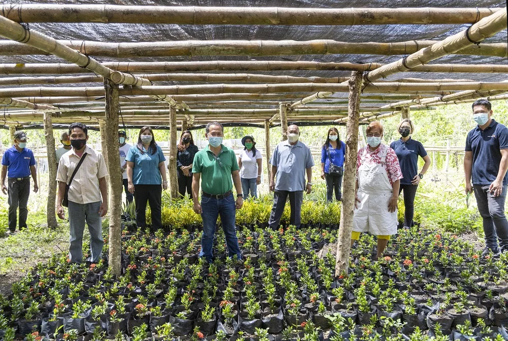 FORWARD PROGRAM | Vegetable seeds distribution for farming families