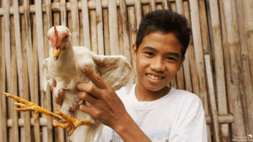 World Vision Philippines | Our Work | Livelihood Programs
