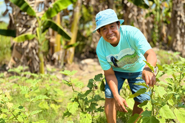Organic Farming Philippines Organic Farm Anglo Eastern Plantations