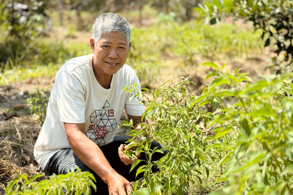 World Vision Philippines | Making the switch to organic farming