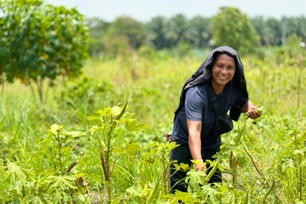 Farmers’ voices heard: Organic farm product trading post set to open ...