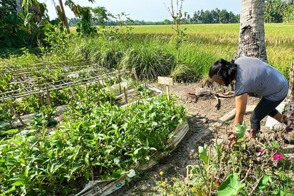 World Vision Philippines | Village demo farm champions earth-friendly ...
