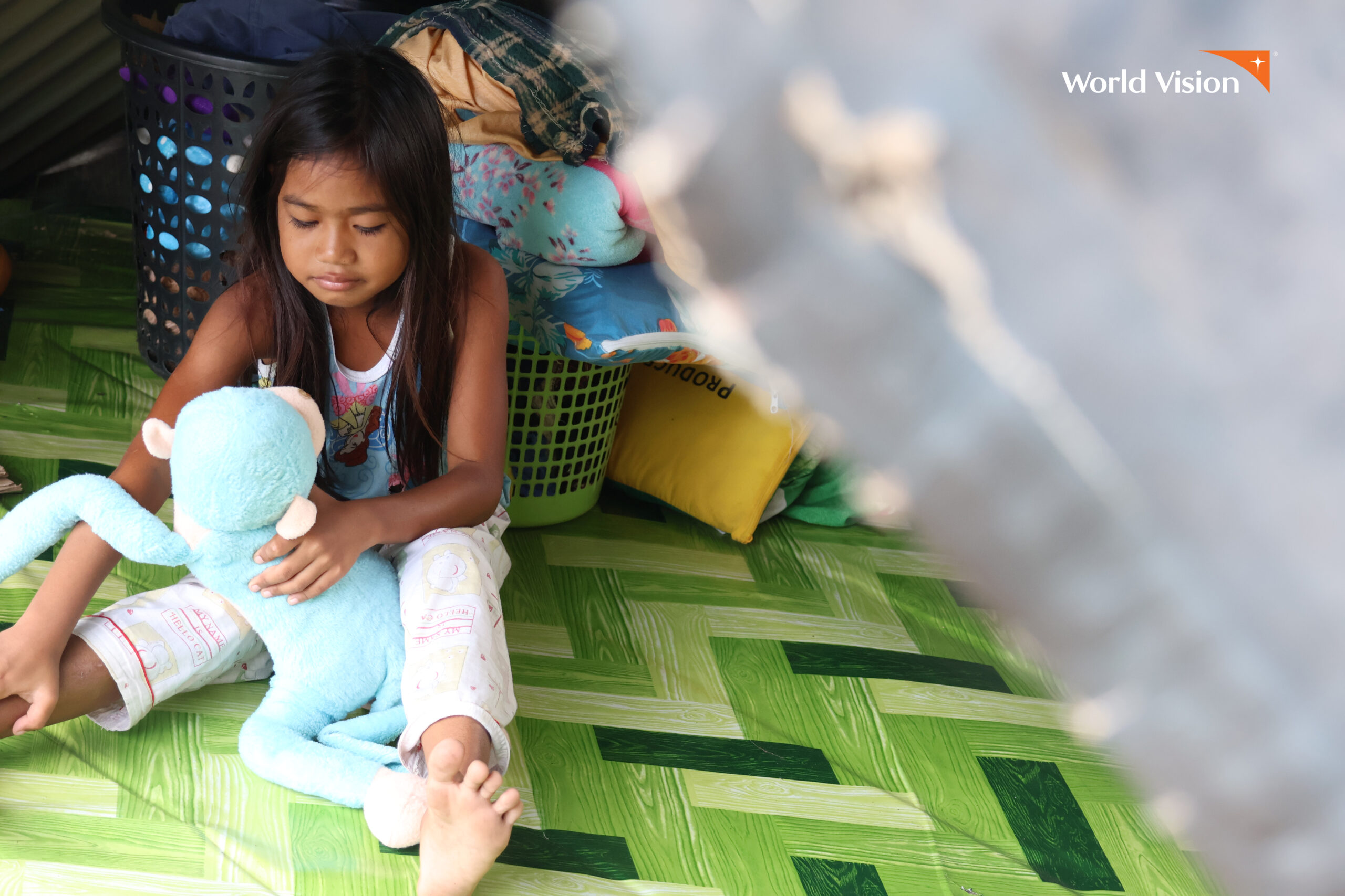 Functional Literacy In The Philippines