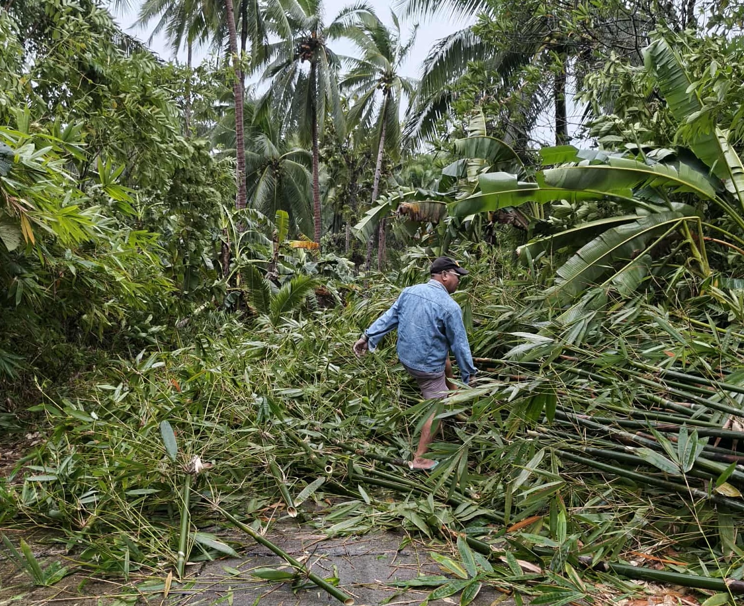World Vision Philippines | Child’s eyewitness account of Super Typhoon ...